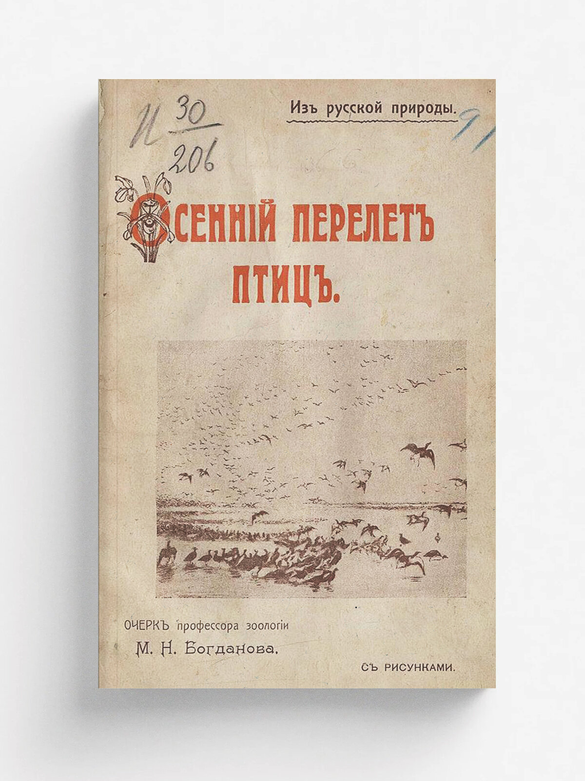 Осенний перелет птиц