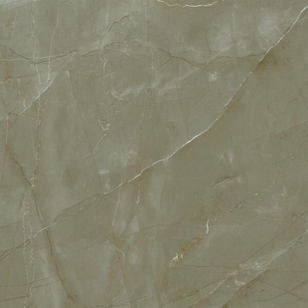 AXIMA Керамогранит BALTIMORE коричневый мат 60x120 10 мм (цена за 1.44 м2)