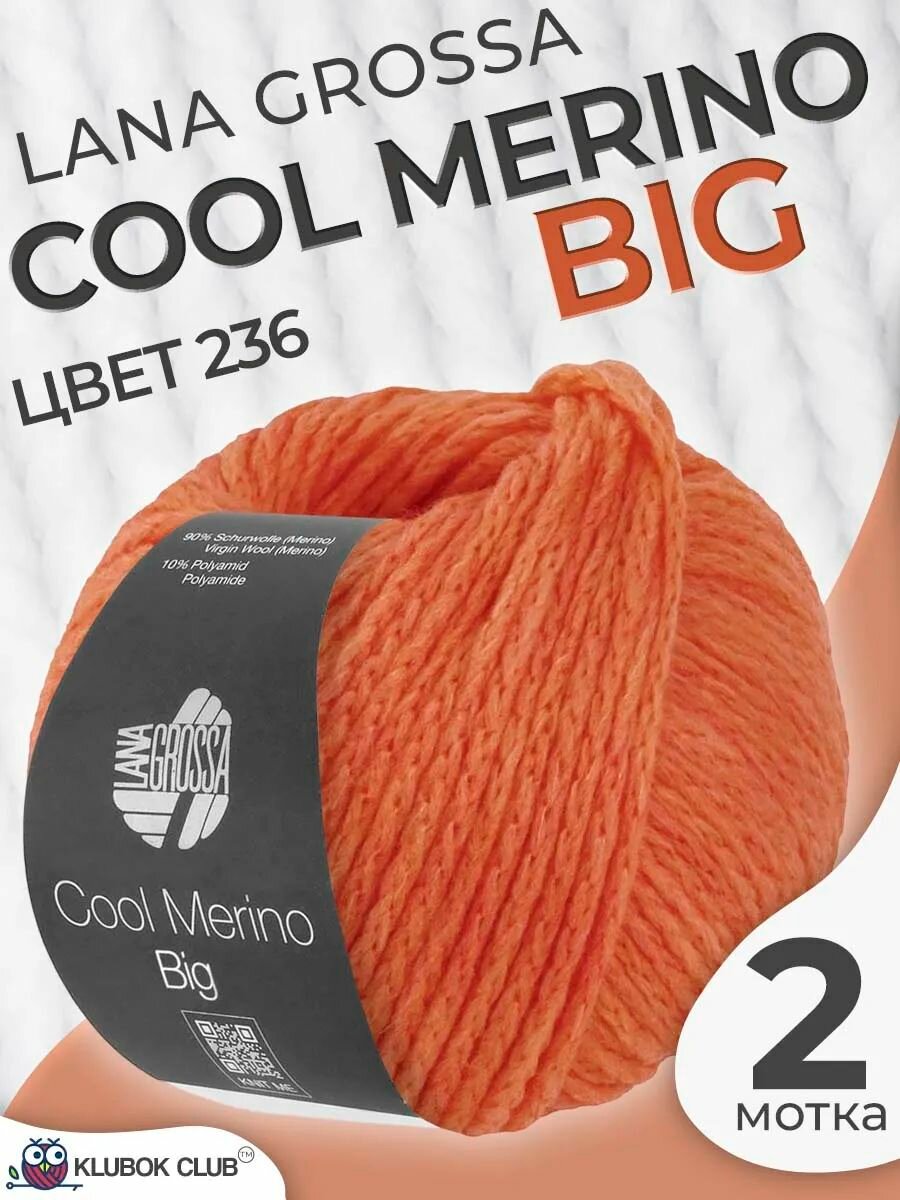 Пряжа для вязания Lana Grossa Cool Merino Big шнурок, цвет 236, 2 мотка