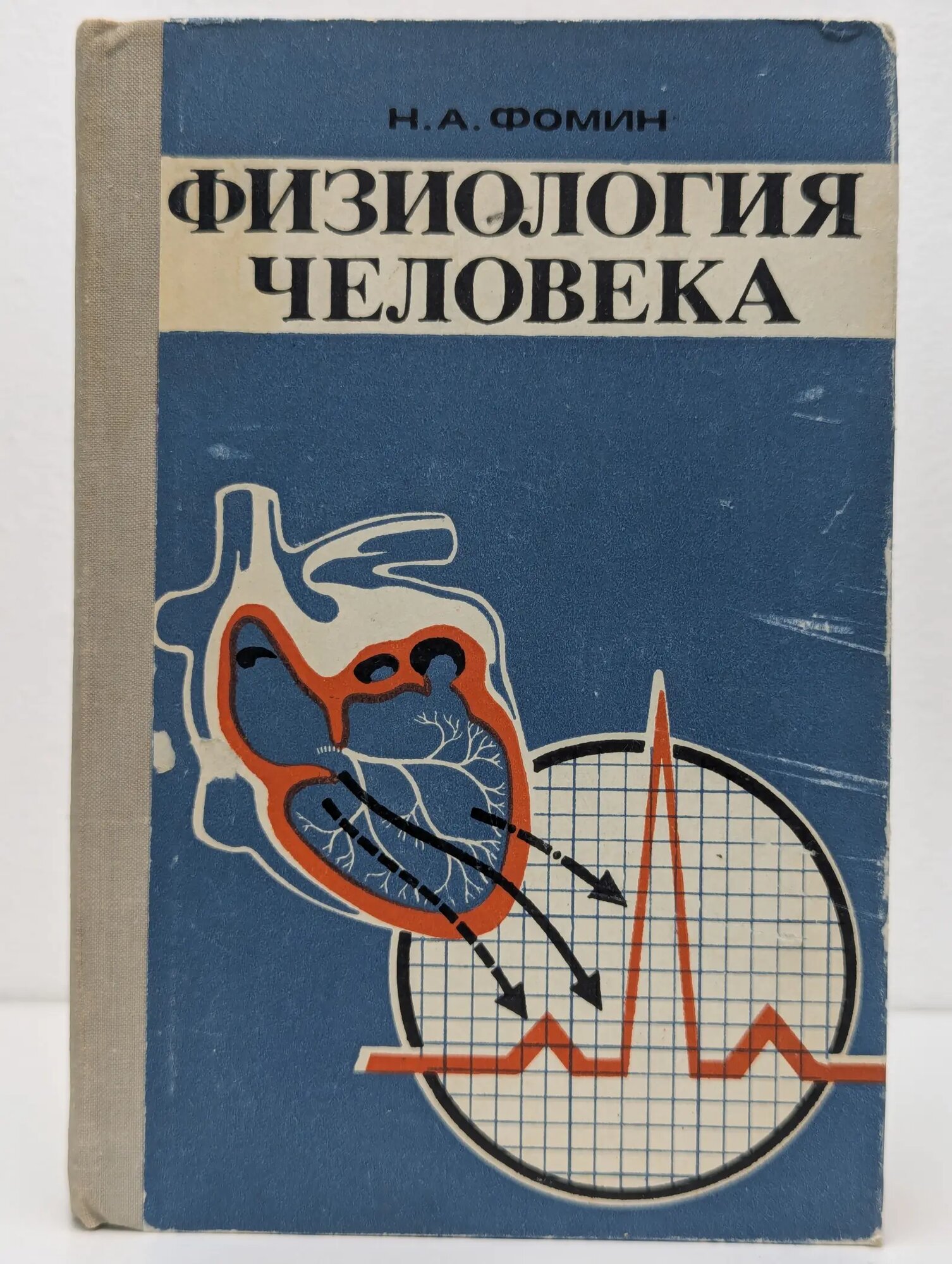 Физиология человека Фомин Николай Андреевич 1982