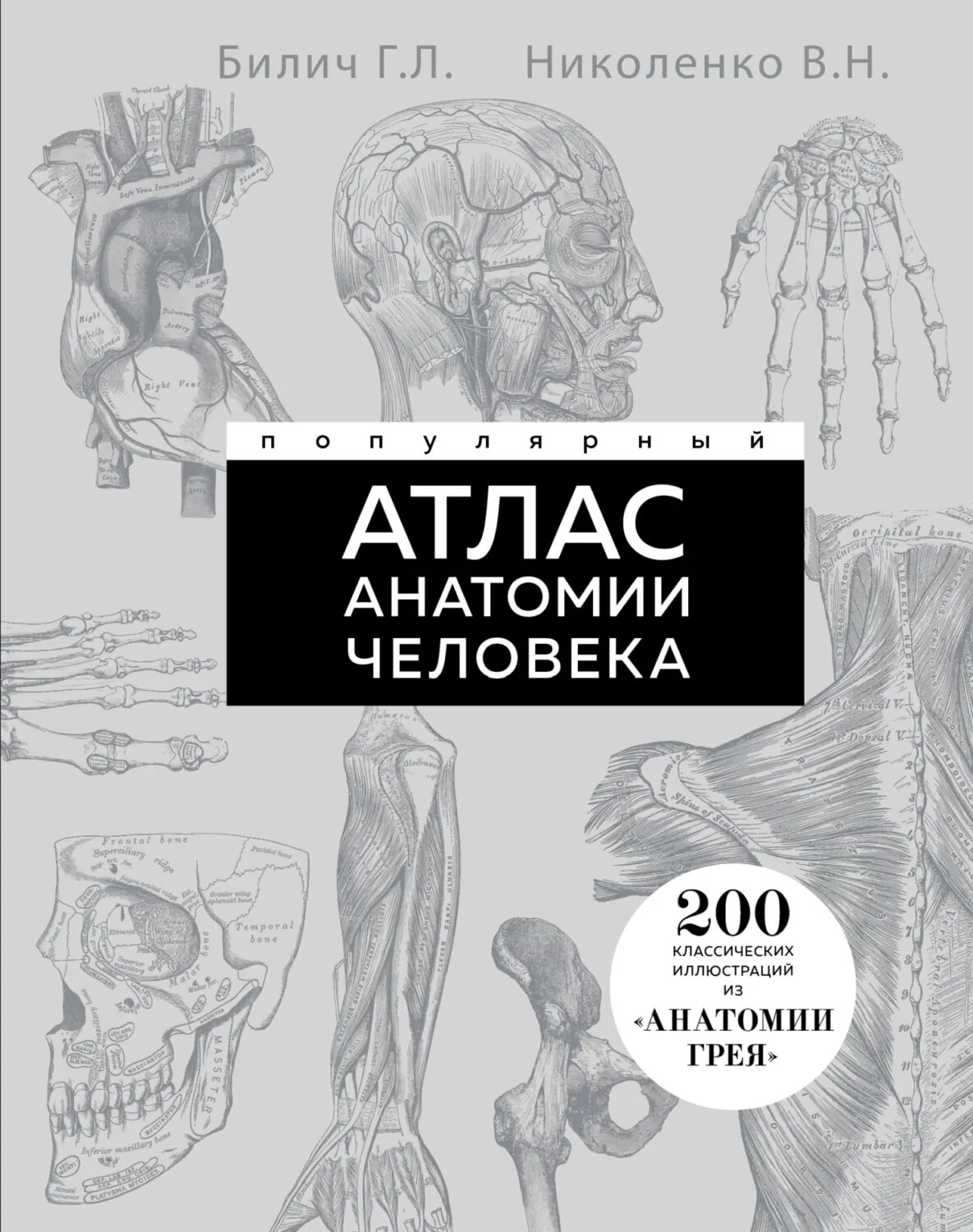 Популярный атлас анатомии человека. 200 классических иллюстраций из «Анатомии Грея» [Цифровая книга]