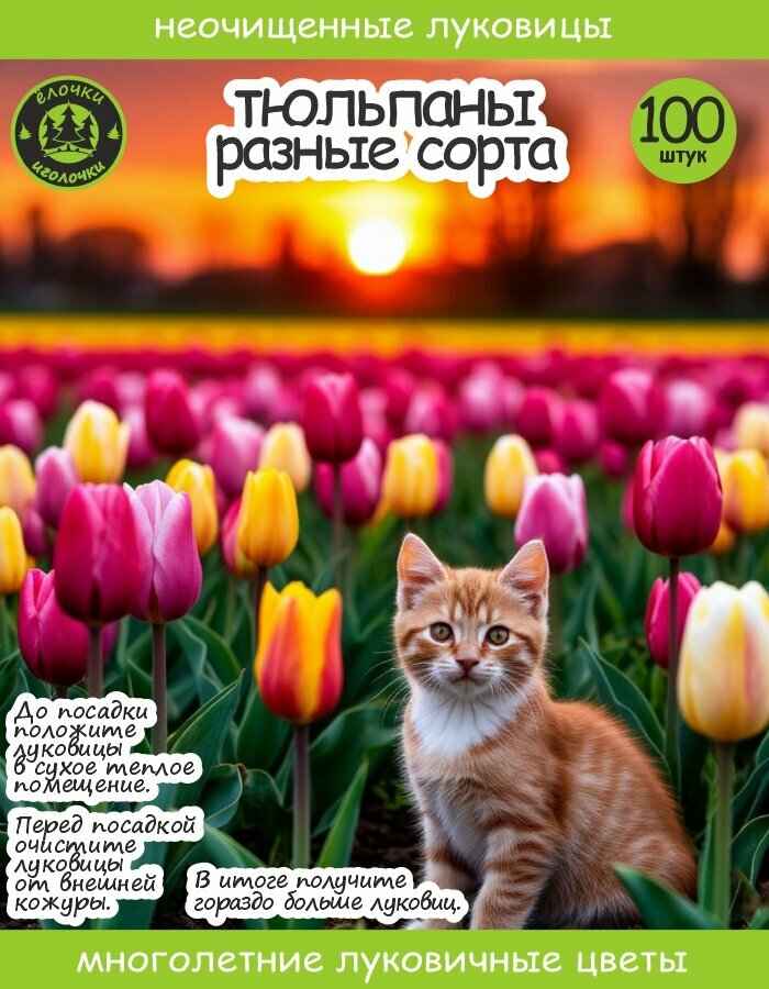 Тюльпан Луковицы неочищенные, Микс сортов, 100шт