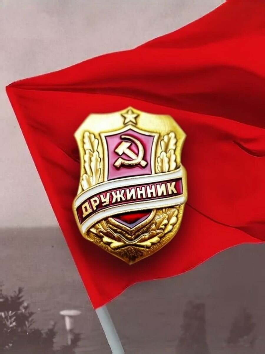 Коллекционный значок СССР "Дружинник СССР".