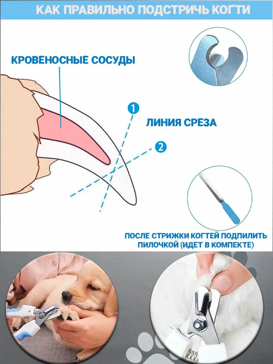Когтерезка MaxBoom, для грызунов, кошек, собак и кроликов, металл и резина — фото 1