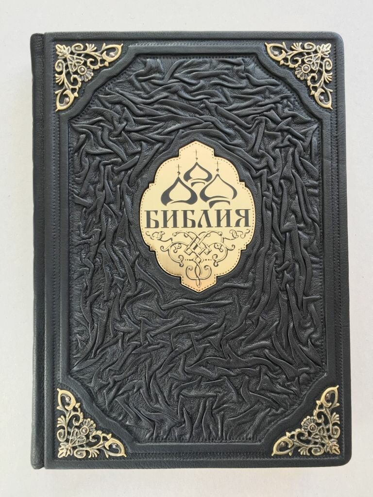 Библия в гравюрах Гюстава Доре (подарочная кожаная книга)