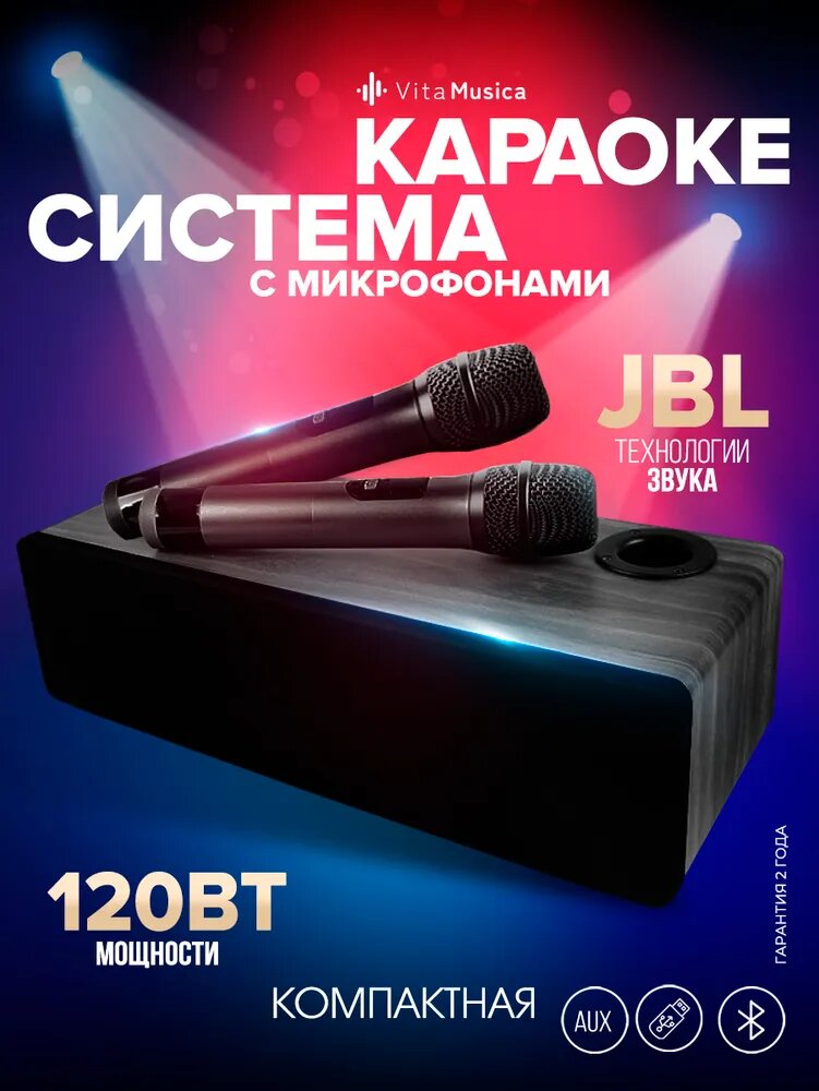 Караоке система Vita Musica с двумя беспроводными микрофонами