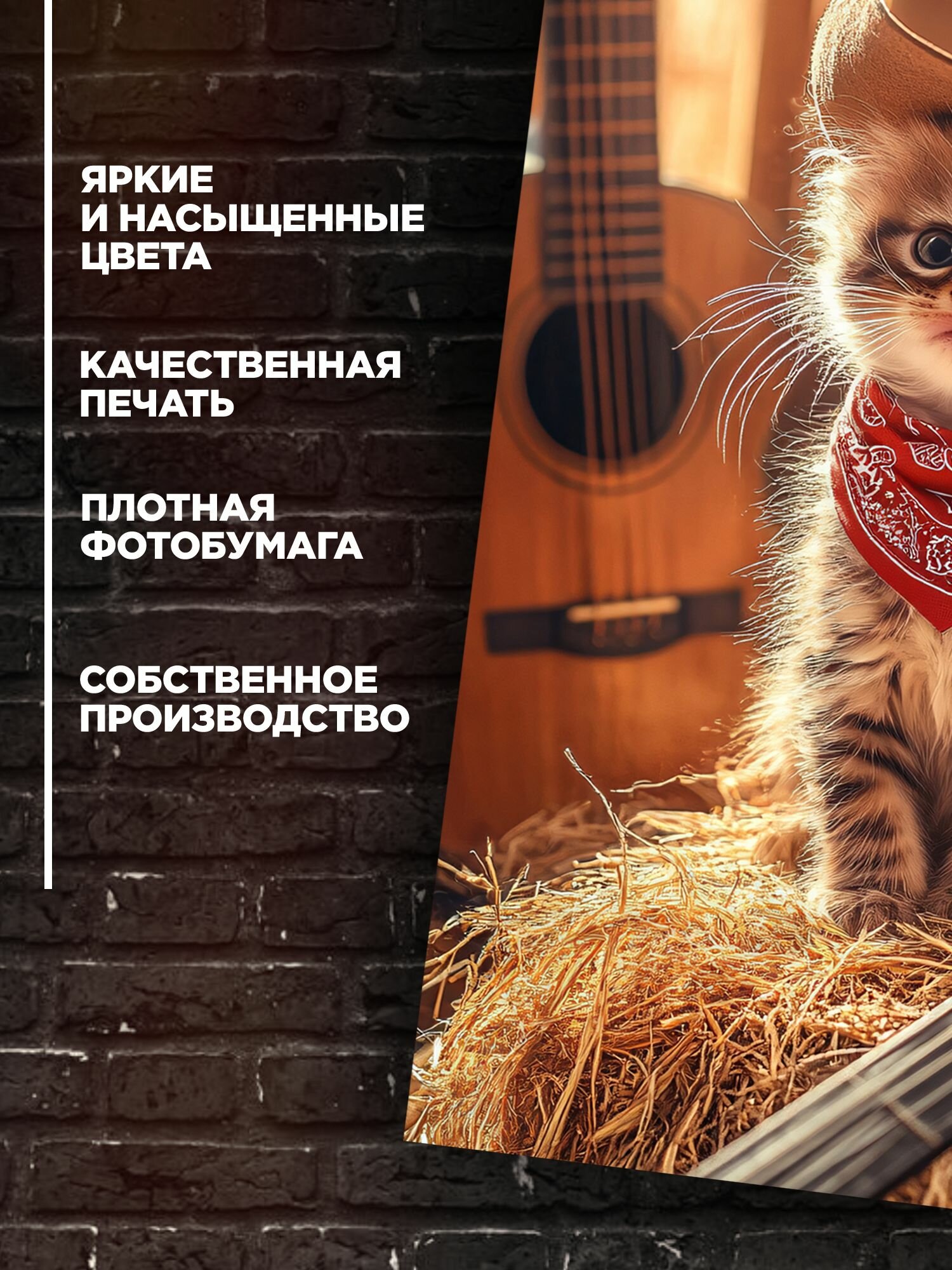 Постер Котики, Эстетика — фото 1