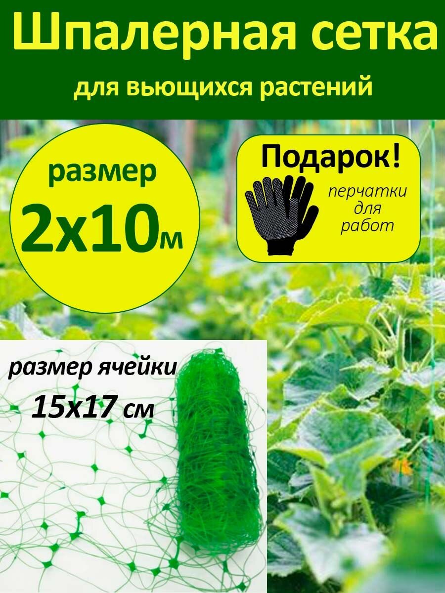 Сетка шпалерная 2x10 м для вьющихся растений, огурцов