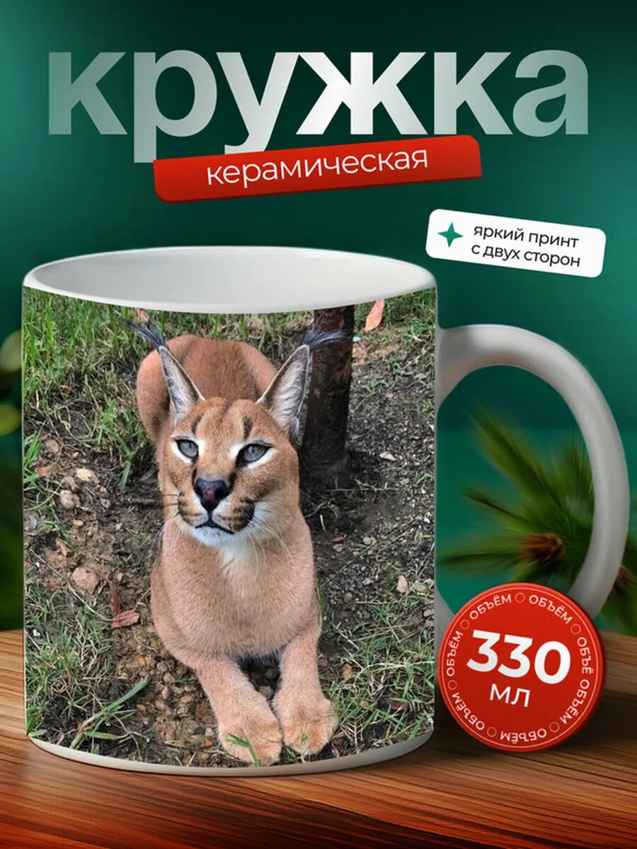 Кружка Маврикийский коралл кот 20,