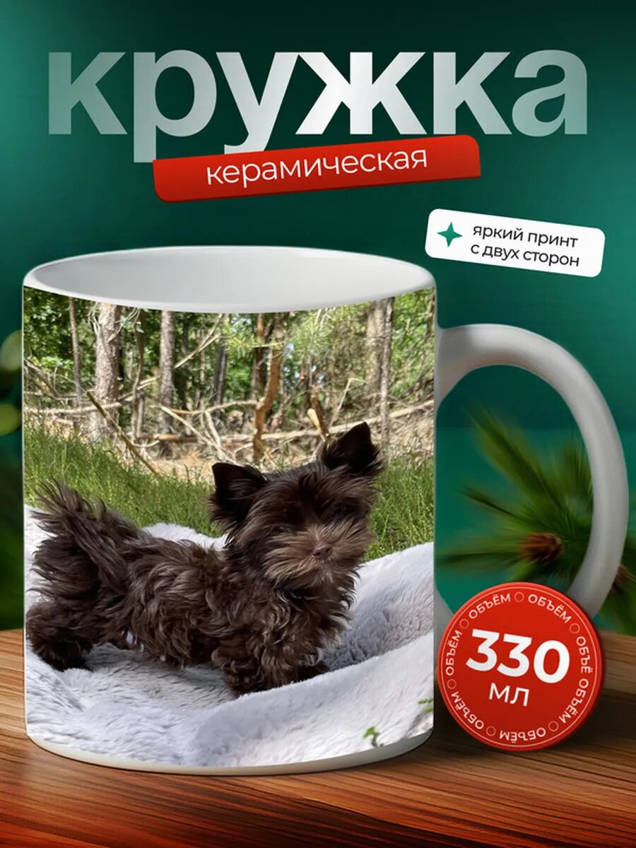 Кружка Йоркская шоколадная кошка 11,