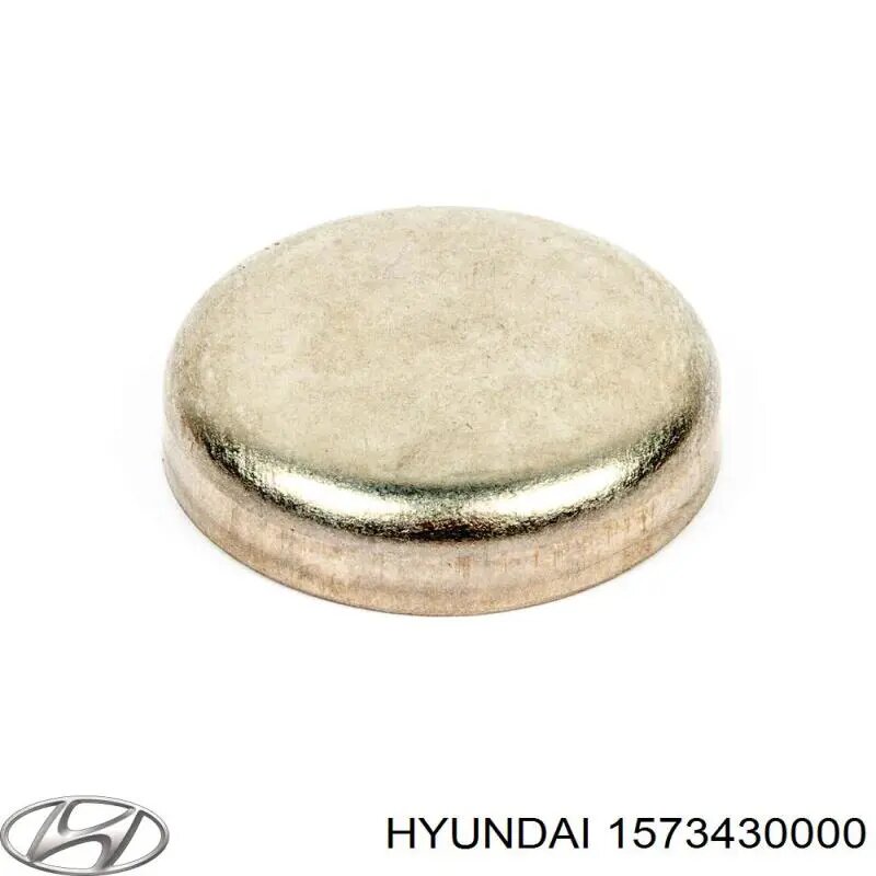 Заглушка блока цилиндров HYUNDAI ACCENT (2007-) TY