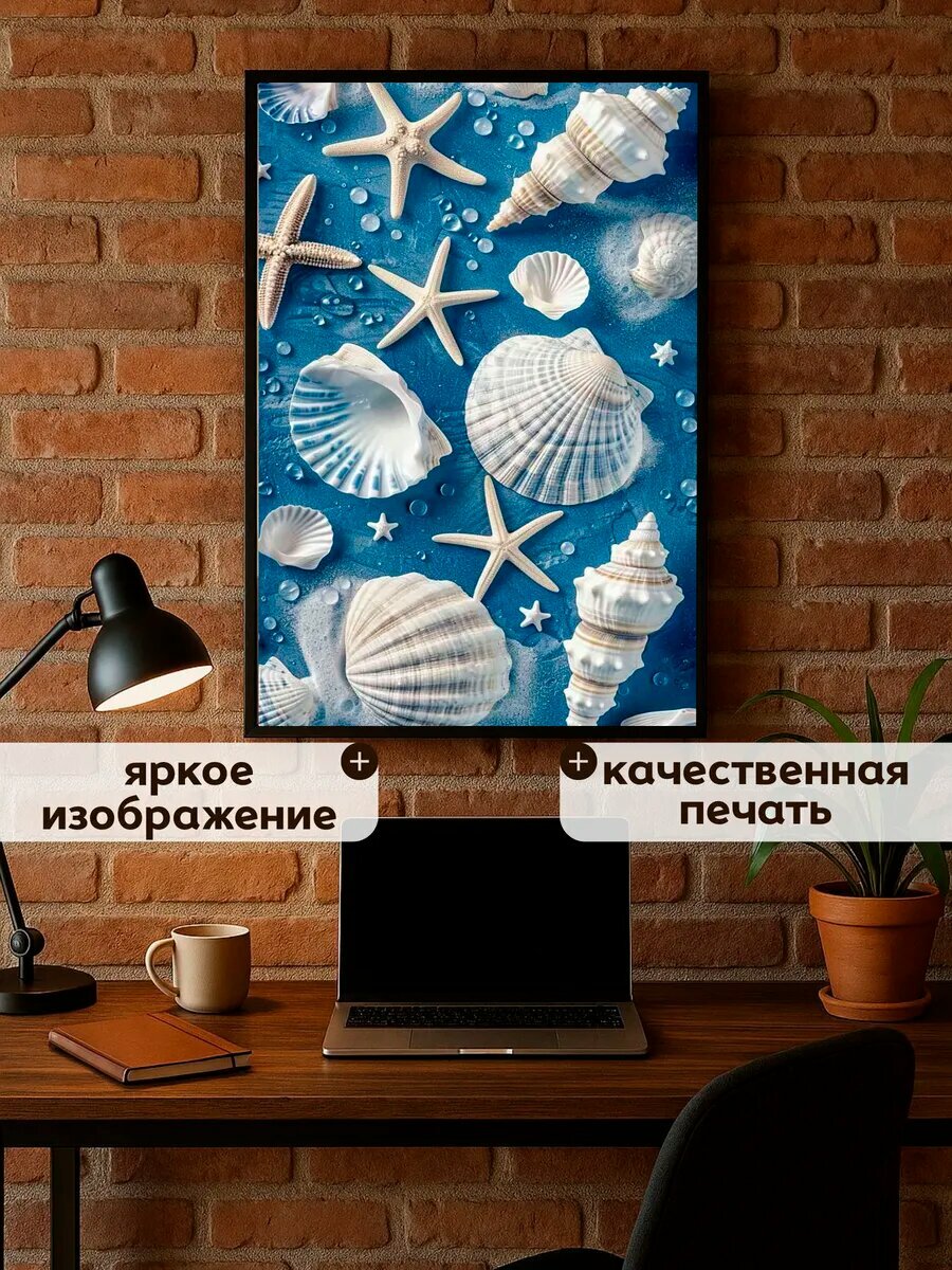 Постер для интерьера 40х60 Ракушки — фото 1