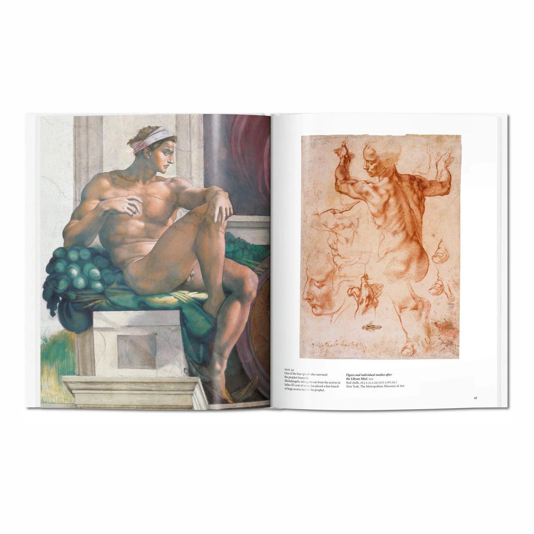 Michelangelo (Basic Art Series)