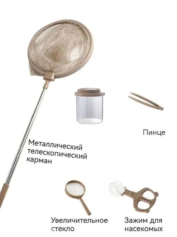 Сачок детский, набор для юного энтомолога, 5 предметов, для дома, хаки — фото 1