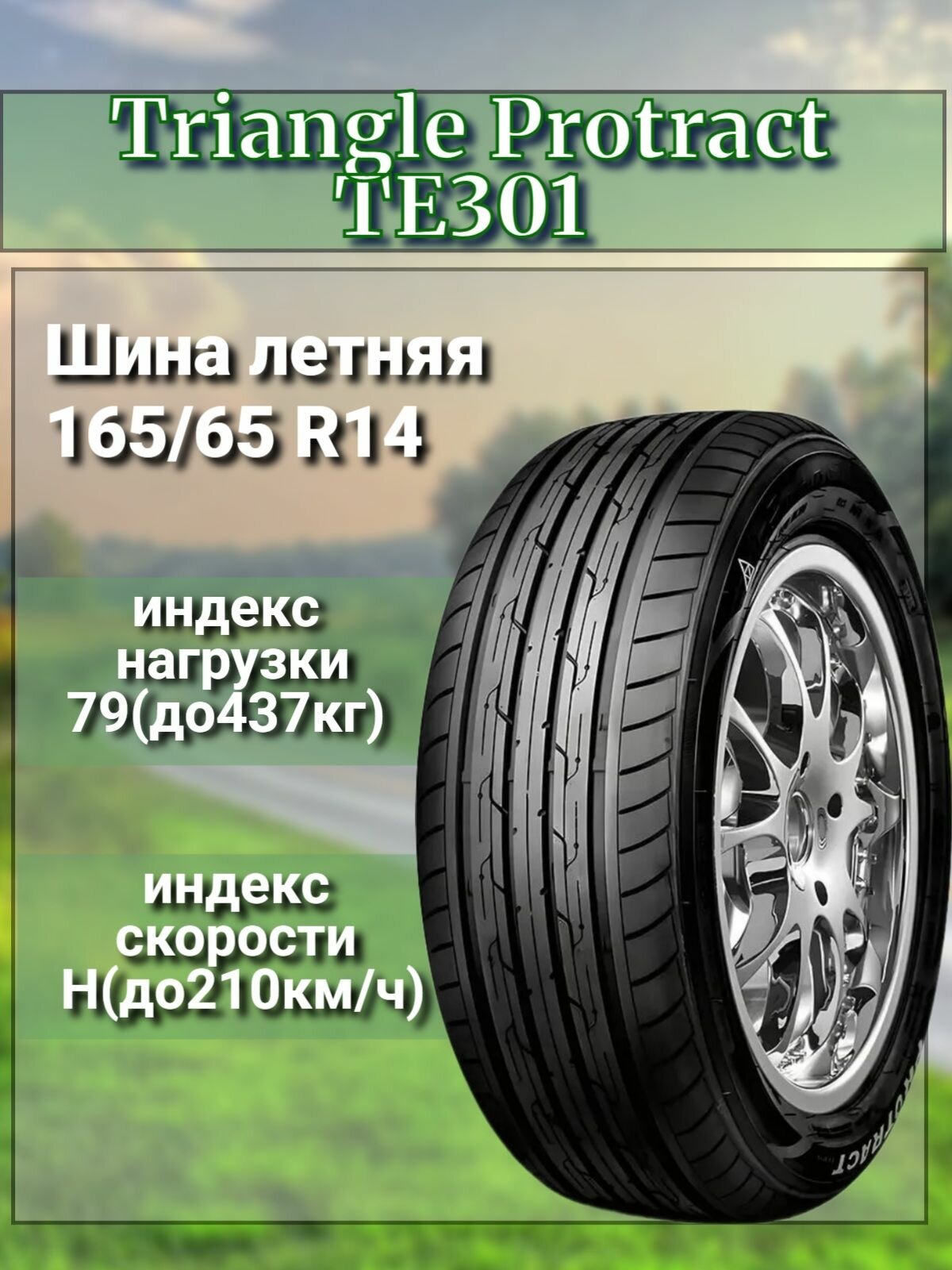 Шина легковая летняя Triangle Protract TE301 165/65 R14 79 H
