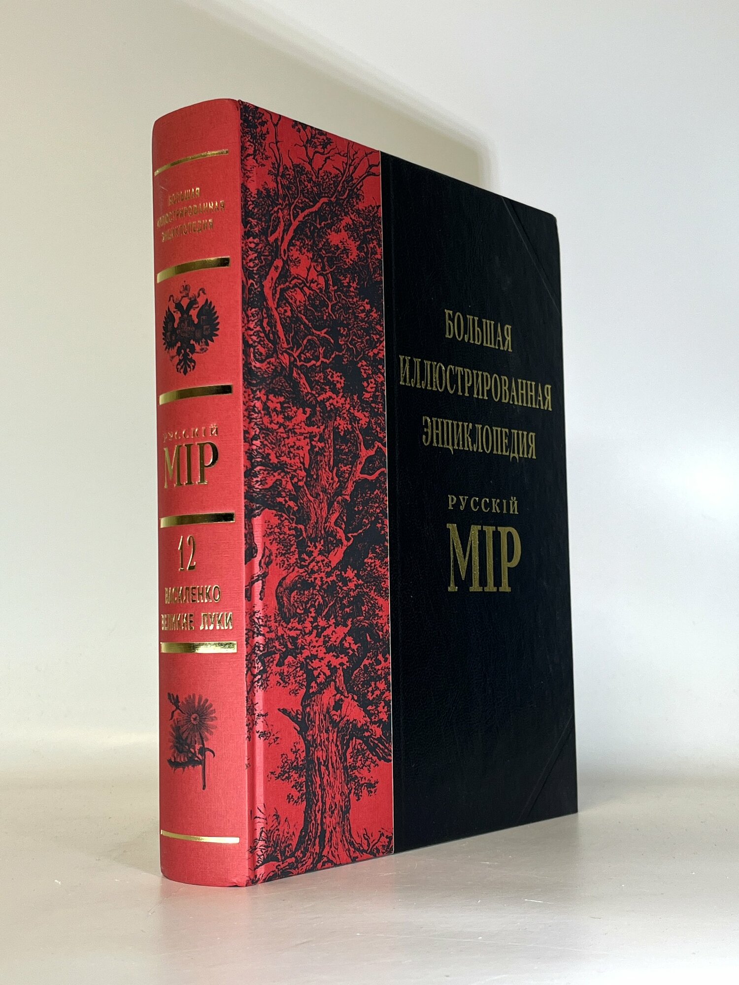 Иллюстрированная энциклопедия. Русский мир. Том 12. Сборник. Букинистические книги в отличном состоянии.
