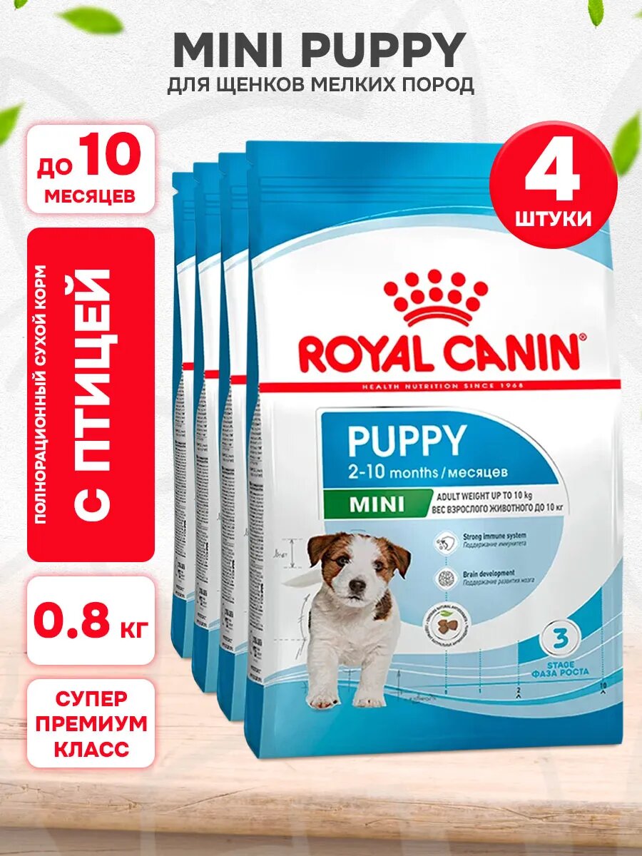 Корм сухой Royal Canin Mini Puppy для щенков мелких пород в возрасте до 10 месяцев, 0,8 кг х 4 шт