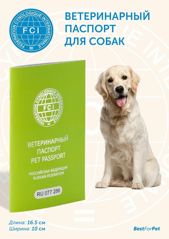 Международный ветеринарный паспорт FCI