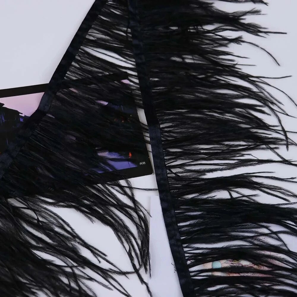 Лента с перьями страуса 8-10 см белая Черный, черный