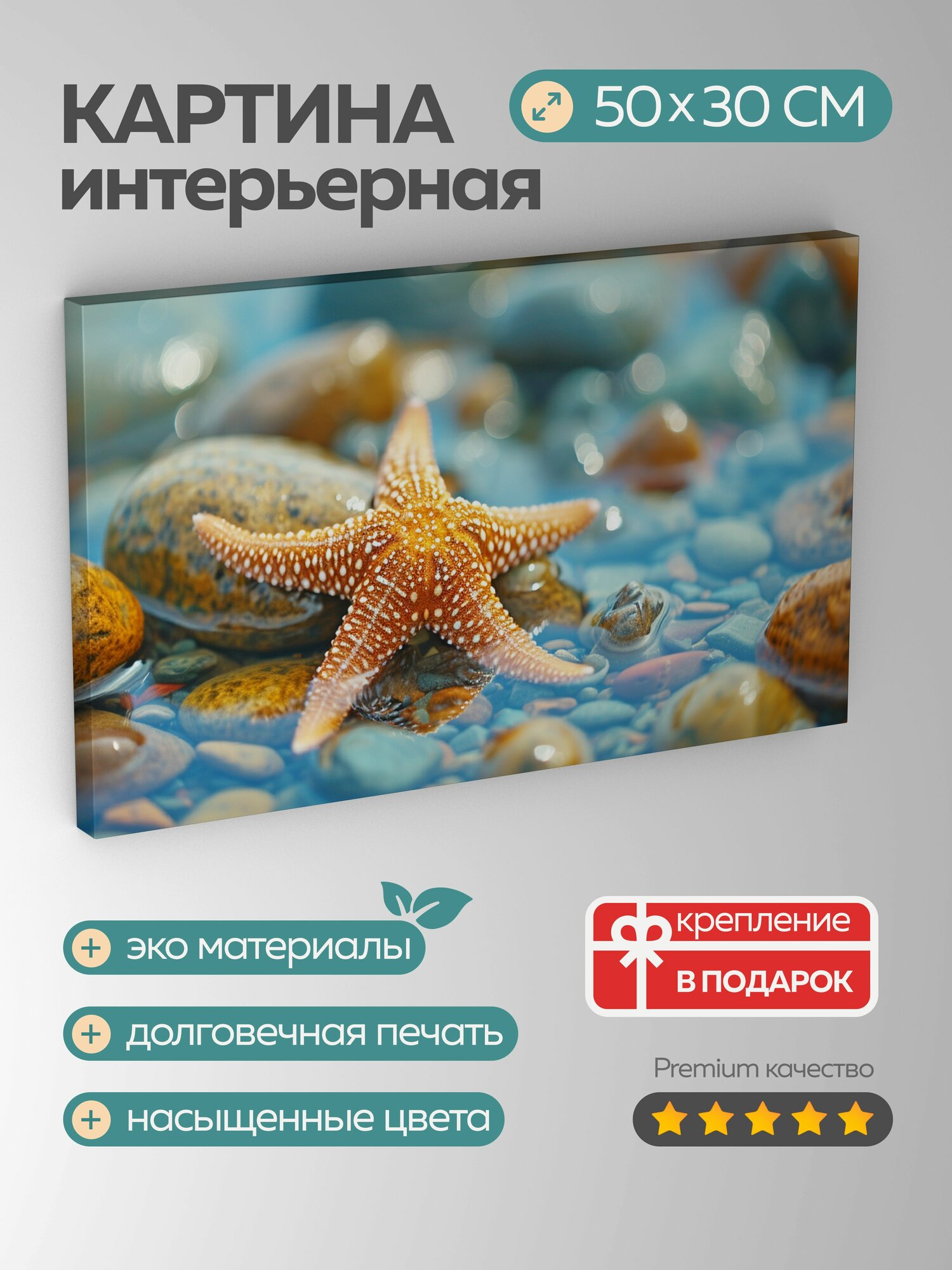 Картина на холсте интерьерная 50х30 см, морская звезда, мелководный бассейн, галька, рябь, яркие цвета, землистые тонам