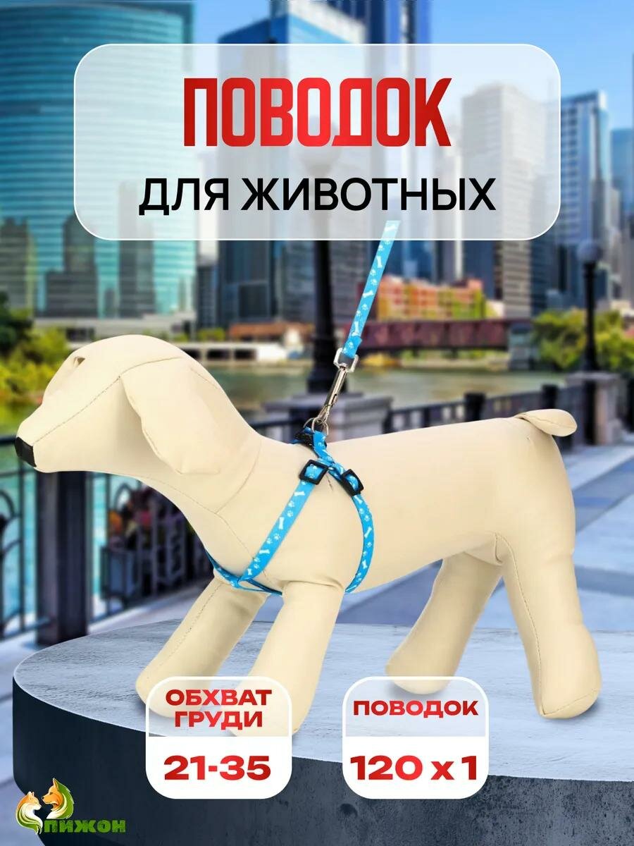 Комплект "Классика", капрон, поводок 120 х 1 см, ОГ 21-35 см, голубой