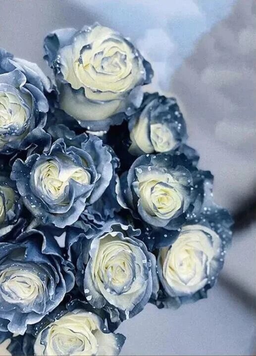 Картина из алмазной мозаики на подрамнике Круглые бриллианты 40х50см "Роза"