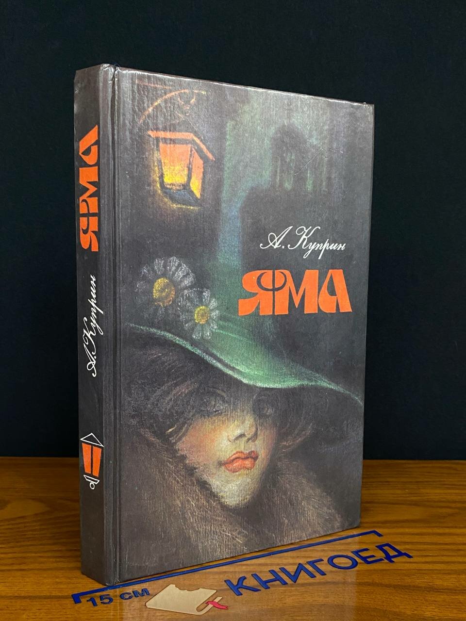 Книга. Яма 1993 (2044649636952)