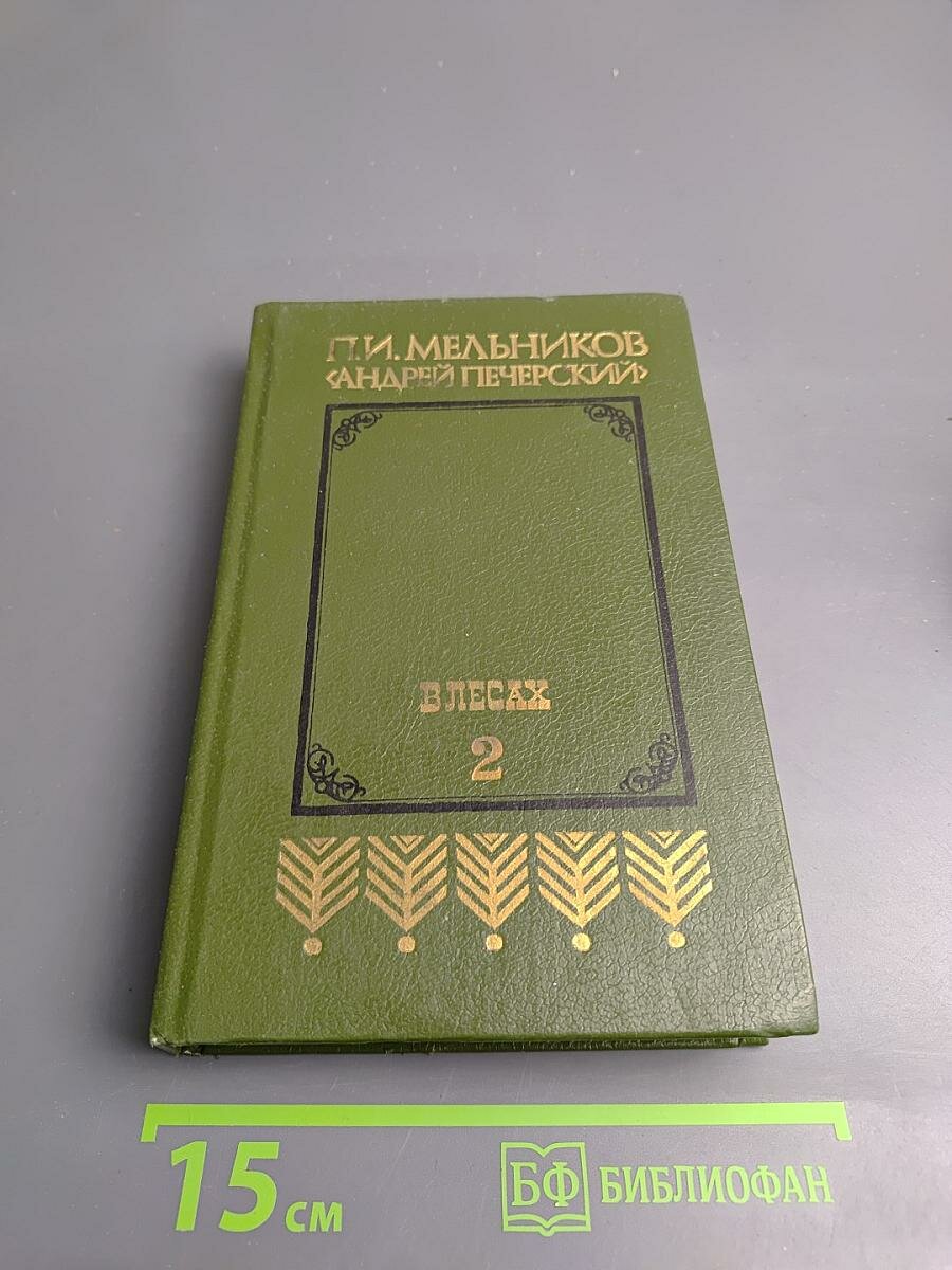 В лесах, Книга вторая