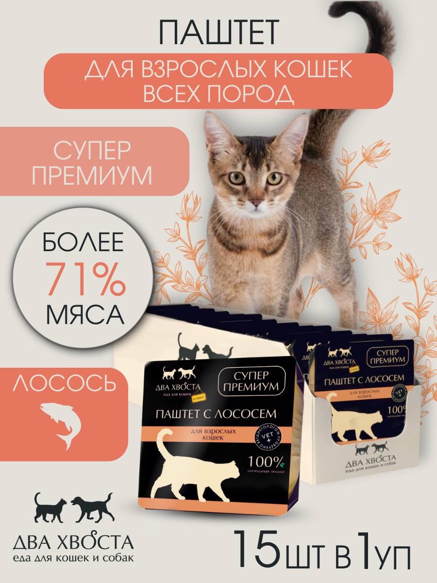 Корм для кошек влажный в виде паштета 15шт*100гр со вкусом лосося холистик