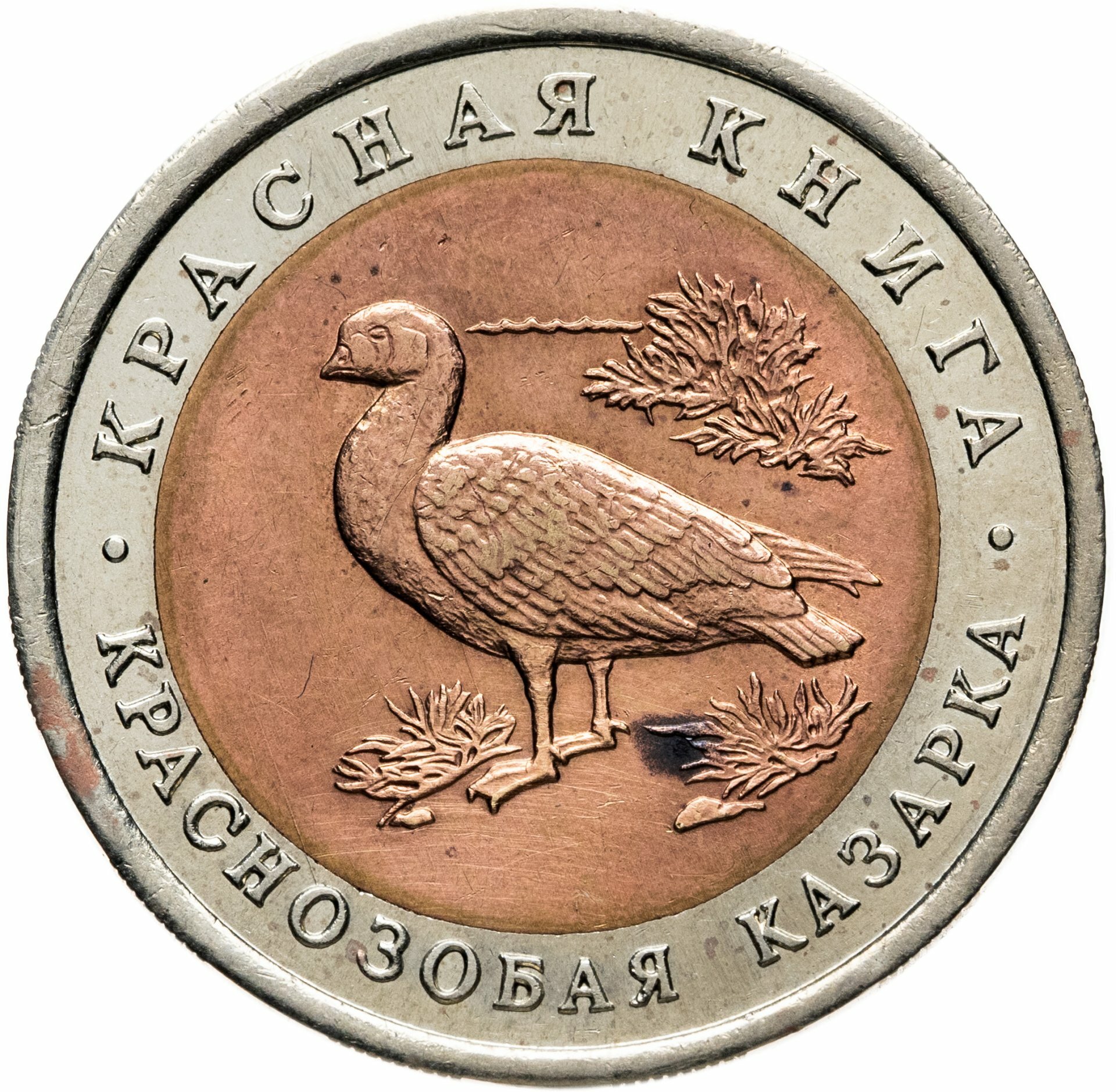 10 рублей 1992 ЛМД Краснозобая казарка, Биметалл, в сохранности AU