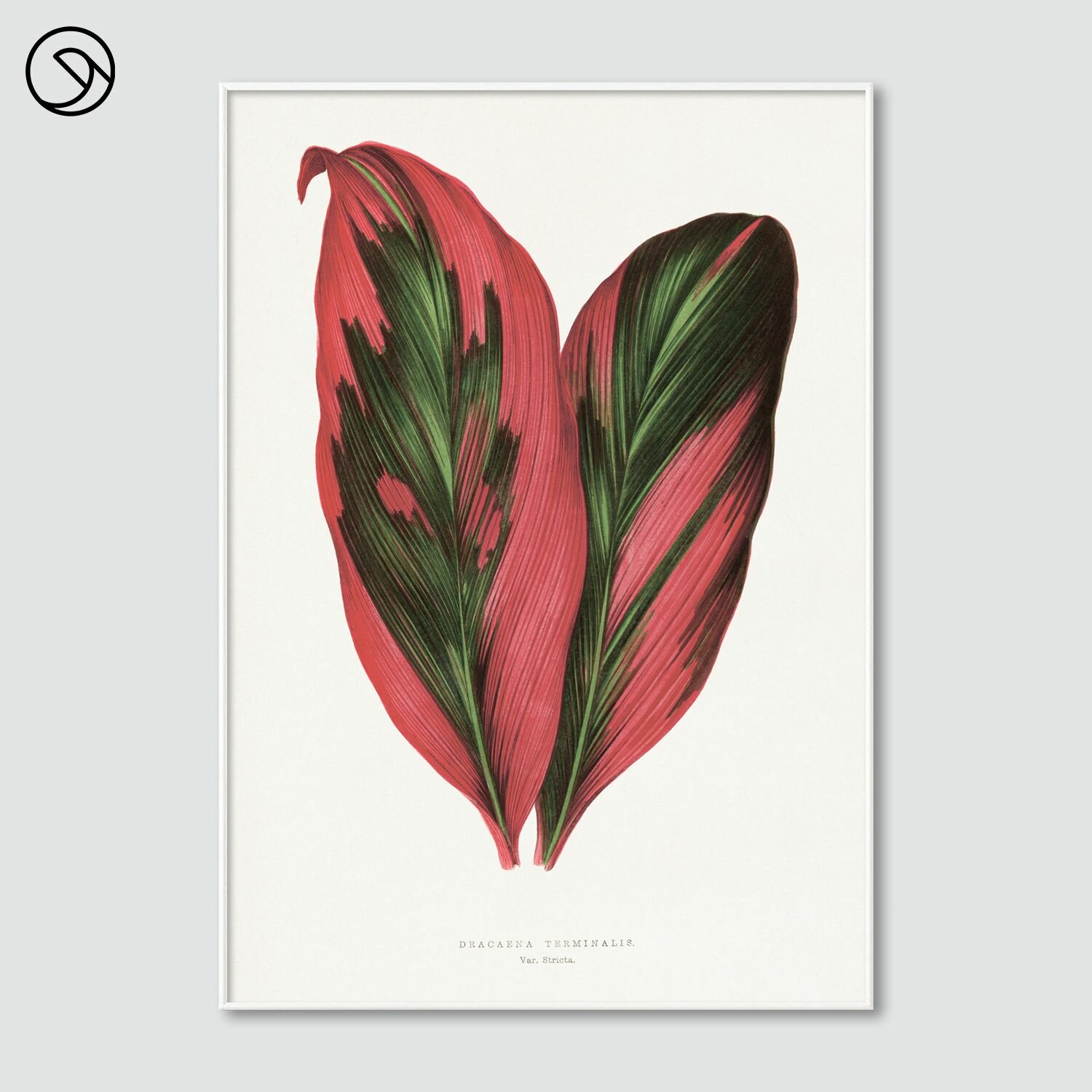 Постер в раме 50х70 Postermarkt, Красно-Зеленые Листья