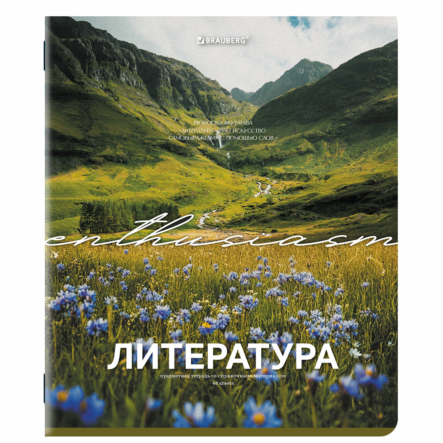 Тетрадь предметная классика природа 48 л, обложка картон, литература, линия, подсказ, BRAUBERG, 405090