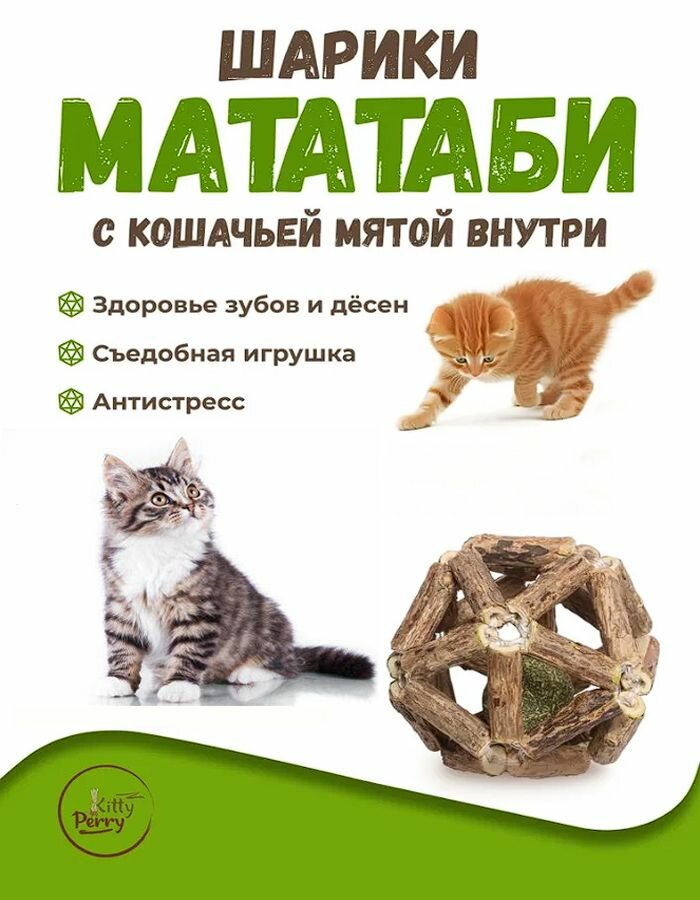 Игрушка для кошек, чистки зубов, шарик мататаби с кошачьей мятой для котят