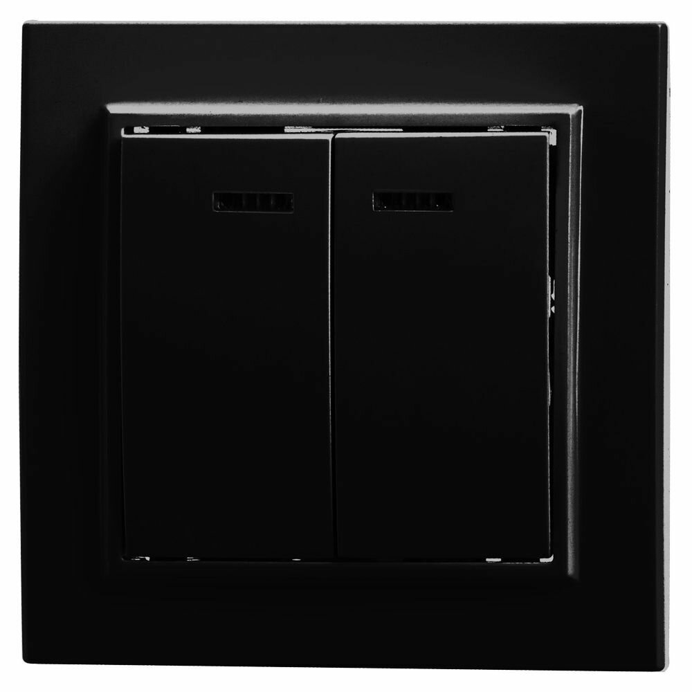 Выключатель 2-клавишный c индикатором STEKKER, PSW10-9002-03, 250V, 10А, серия Эрна, черный 39471 (упаковка - 5шт.)