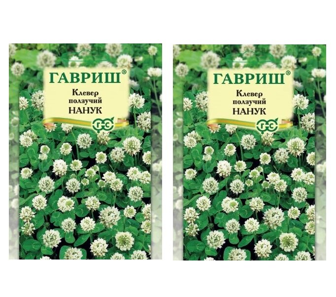 Клевер ползучий белый Нанук , Гавриш (сидерат)2 упаковки по 20 г
