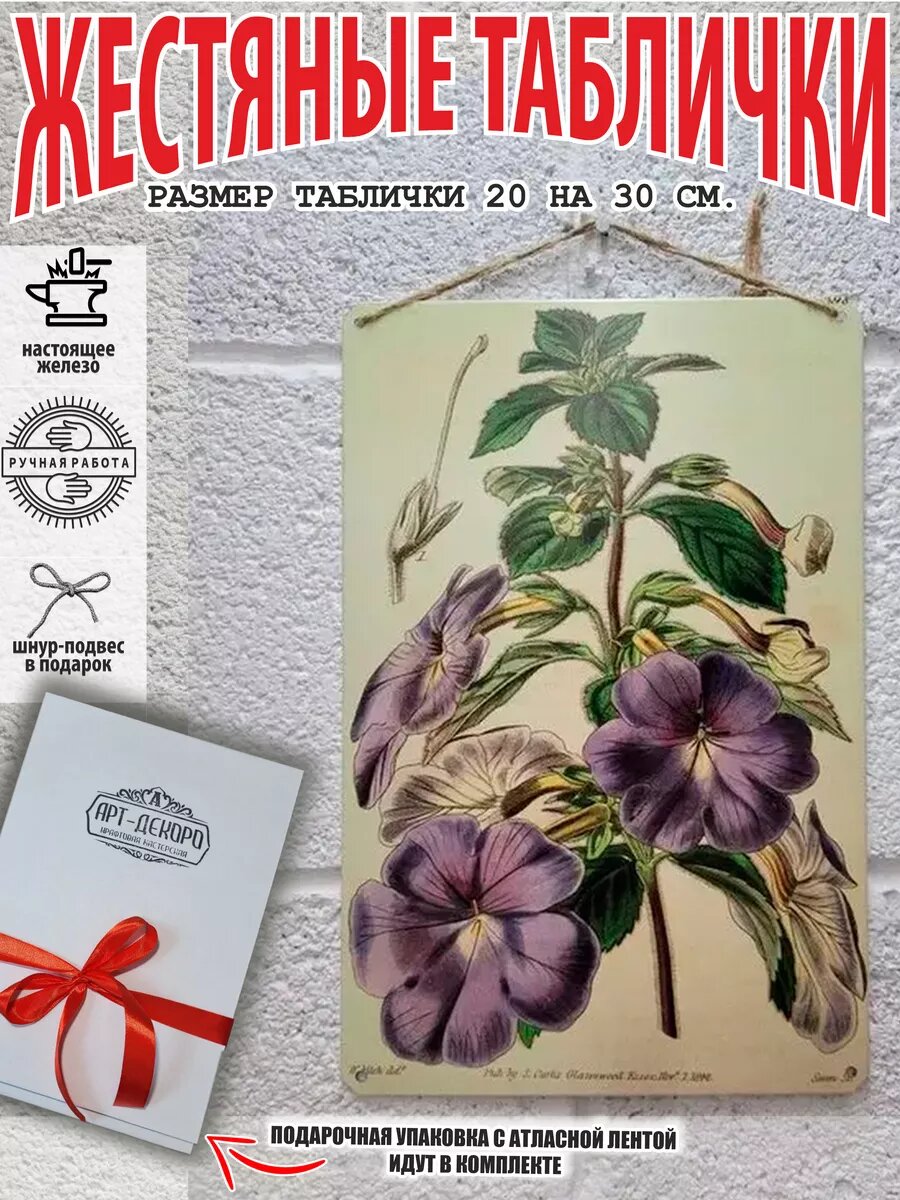 Картина металлическая интерьерная постер на стену "Цветы и растения"