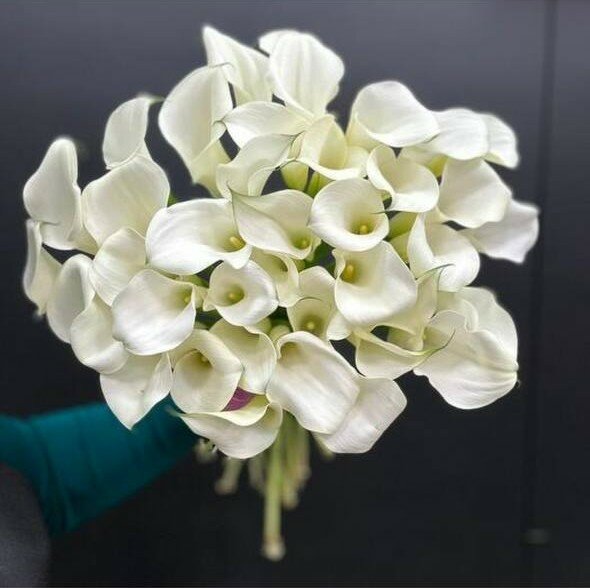 Белая калла 39 шт. Элегантные каллы. Букет из калл для любимой
