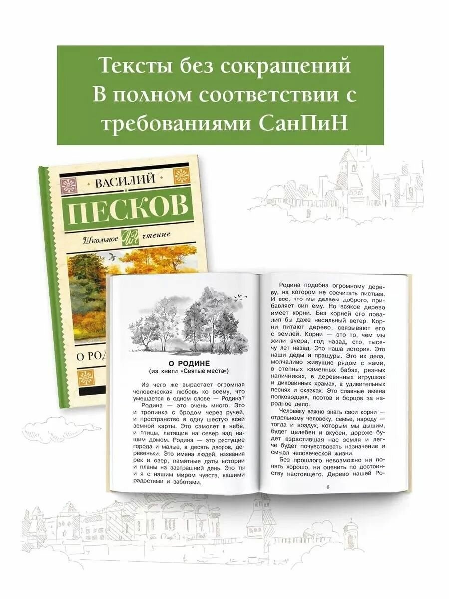 Родине. Рассказы — фото 1