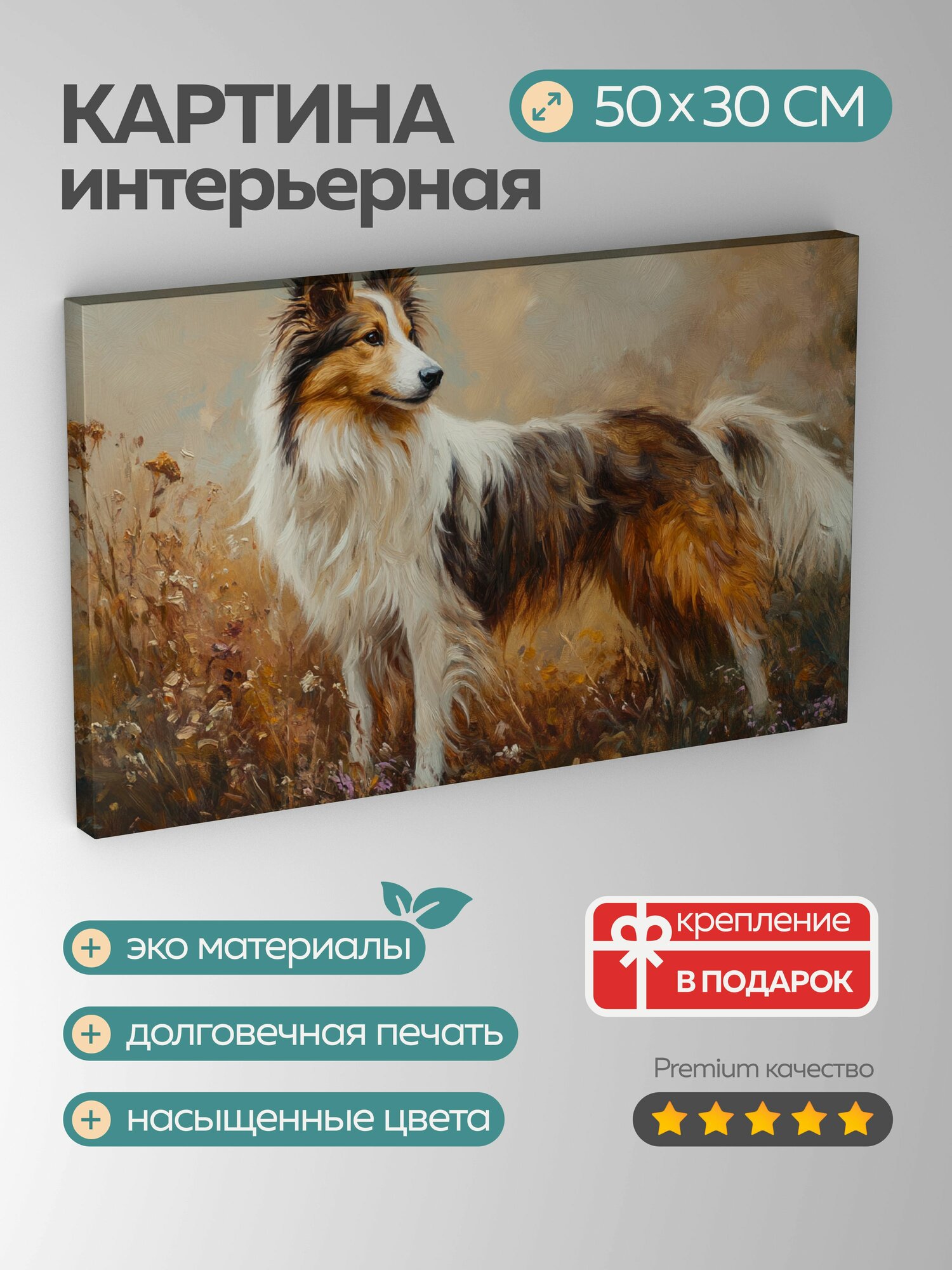 Картина на холсте интерьерная 50х30 см, масляная картина, колли, луг, роскошная шерсть, благородное выражение, грация