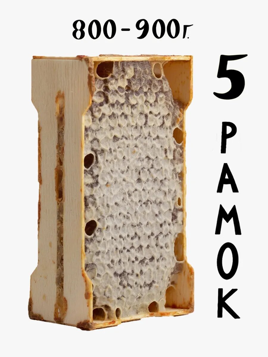 Мёд в сотах в деревянной рамке, 5 штук.