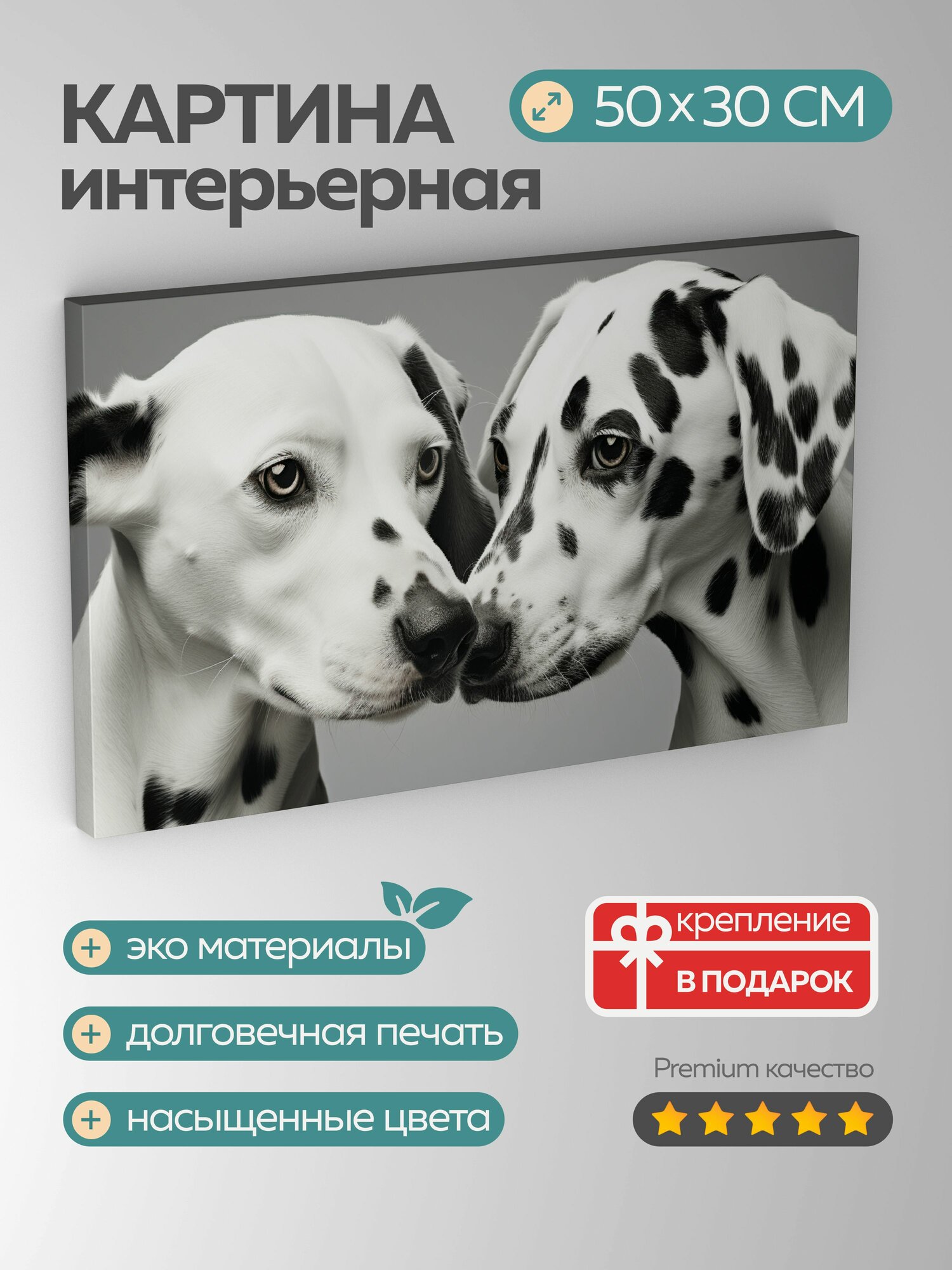 Картина на холсте интерьерная 50х30 см, двое далматинцев, откровенная близость, нежное касание носов, момент нежности