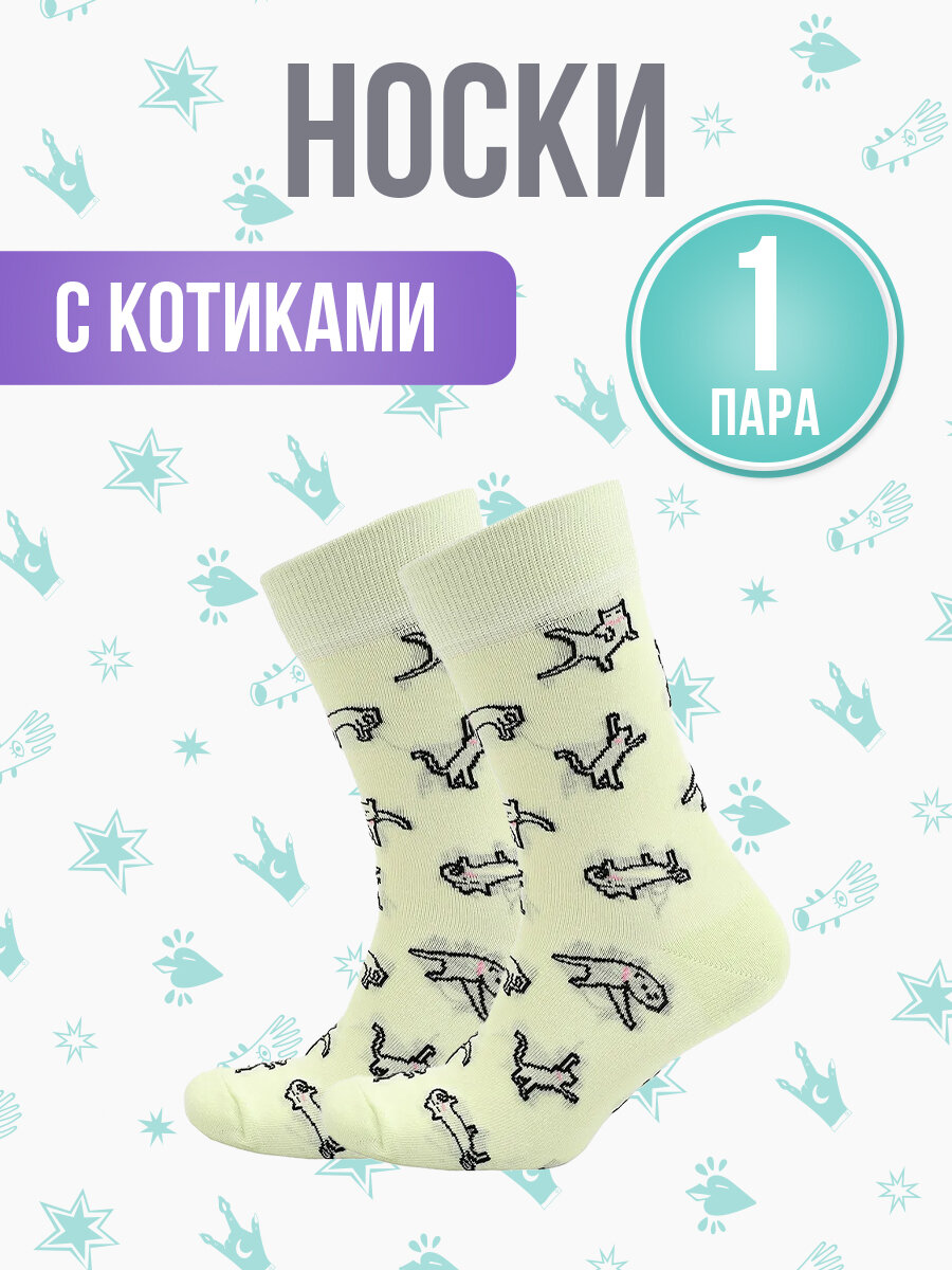Носки с котиками