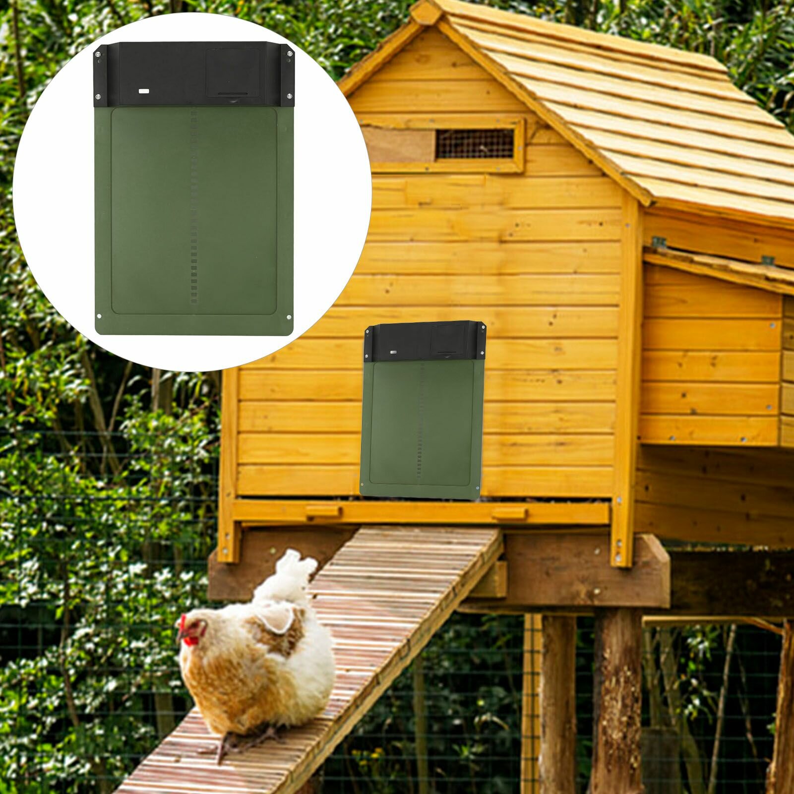 Дверь курятника