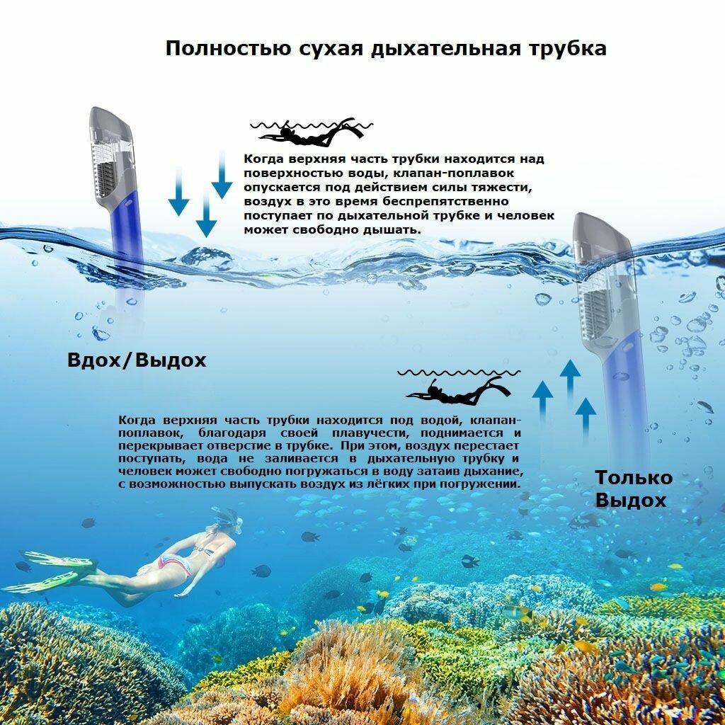 Маска с трубкой для плавания, дайвинга, снорклинга/ маска из закаленного стекла/ набор для подводного плавания