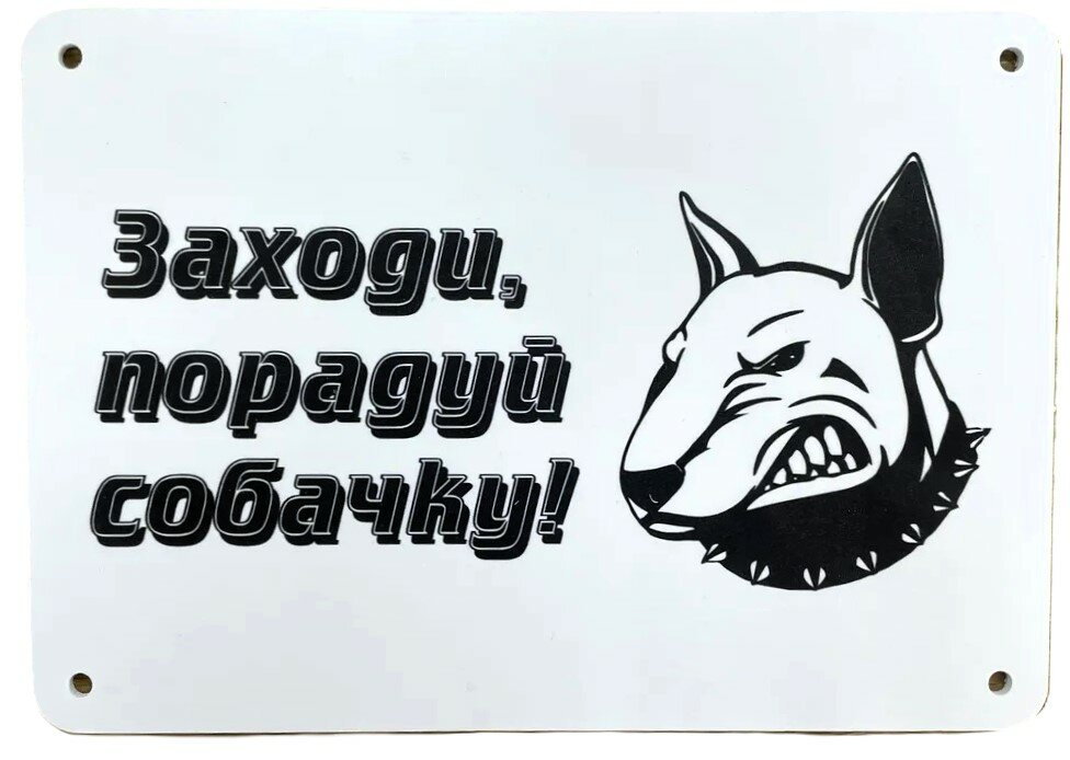 Табличка на забор "Злая собака", предупреждающая, ПВХ 3 мм, УФ печать, размер 17х22 см