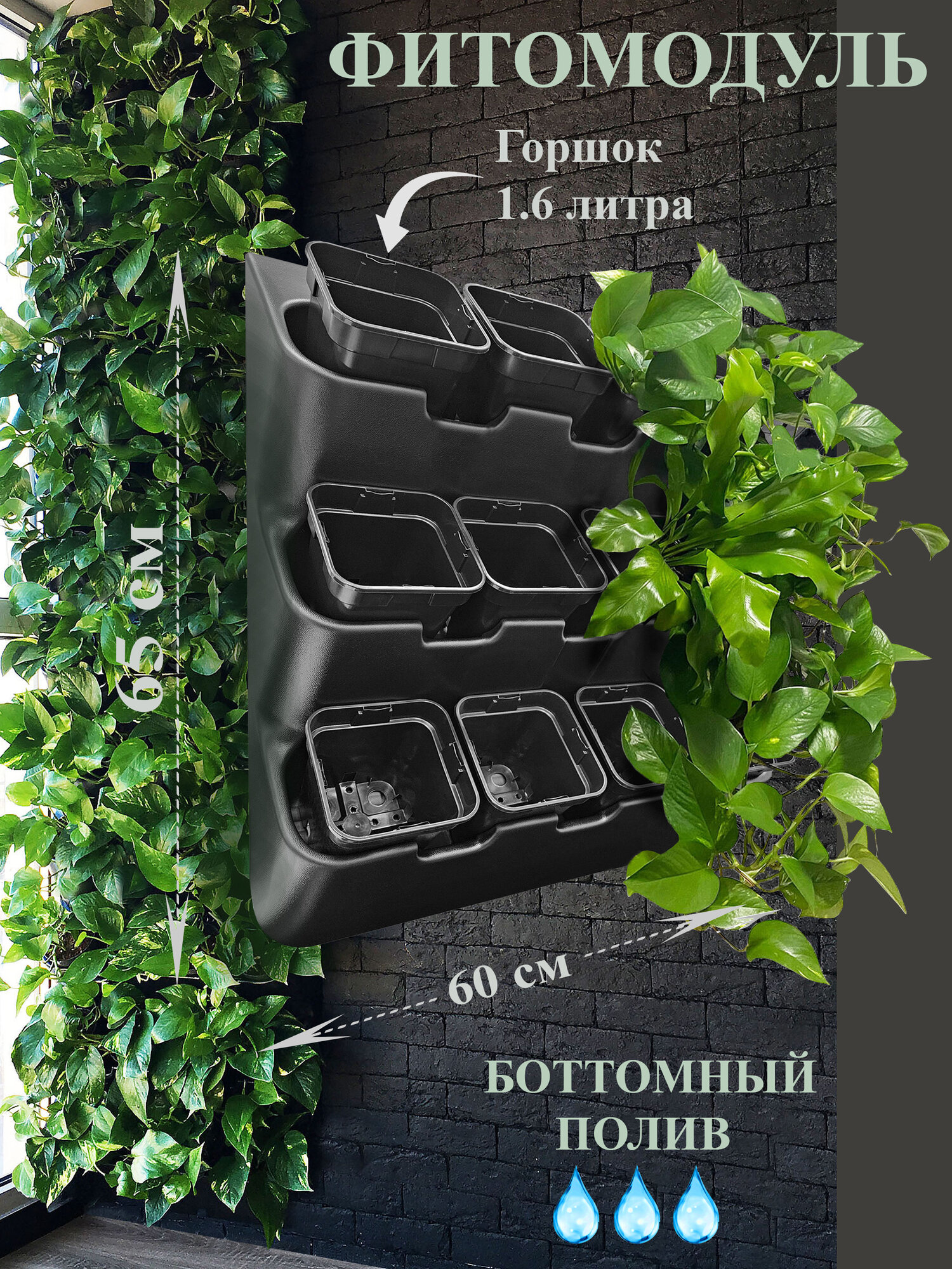 Фитомодуль "BOXSAND 12" (60х65 см) вместимость 12 растений, цвет черный. В комплекте с квадратными горшками.