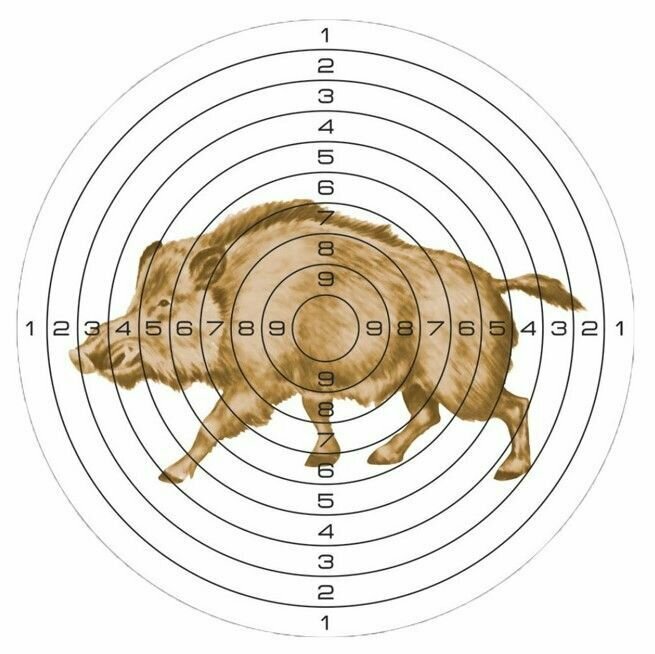 Мишень для пневматики цветная, рисунок "кабан", 140х140 мм, плотный картон (50 шт./уп.)