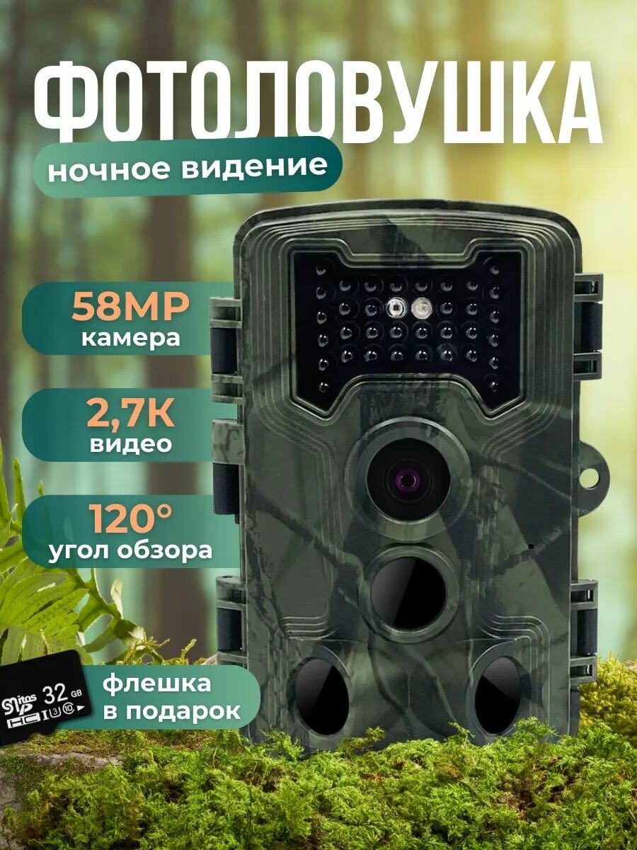 Фотоловушка — фото 1