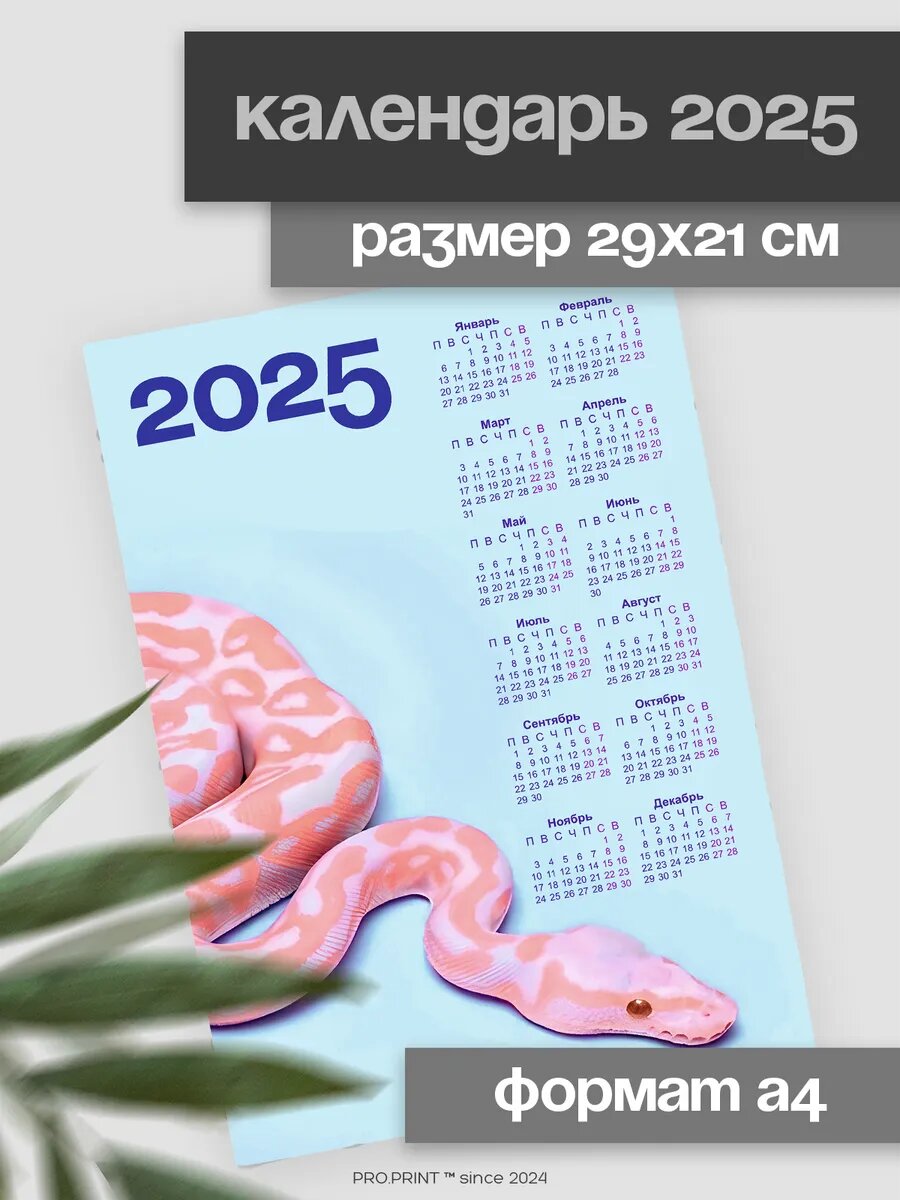 Календарь 2025 настенный змея