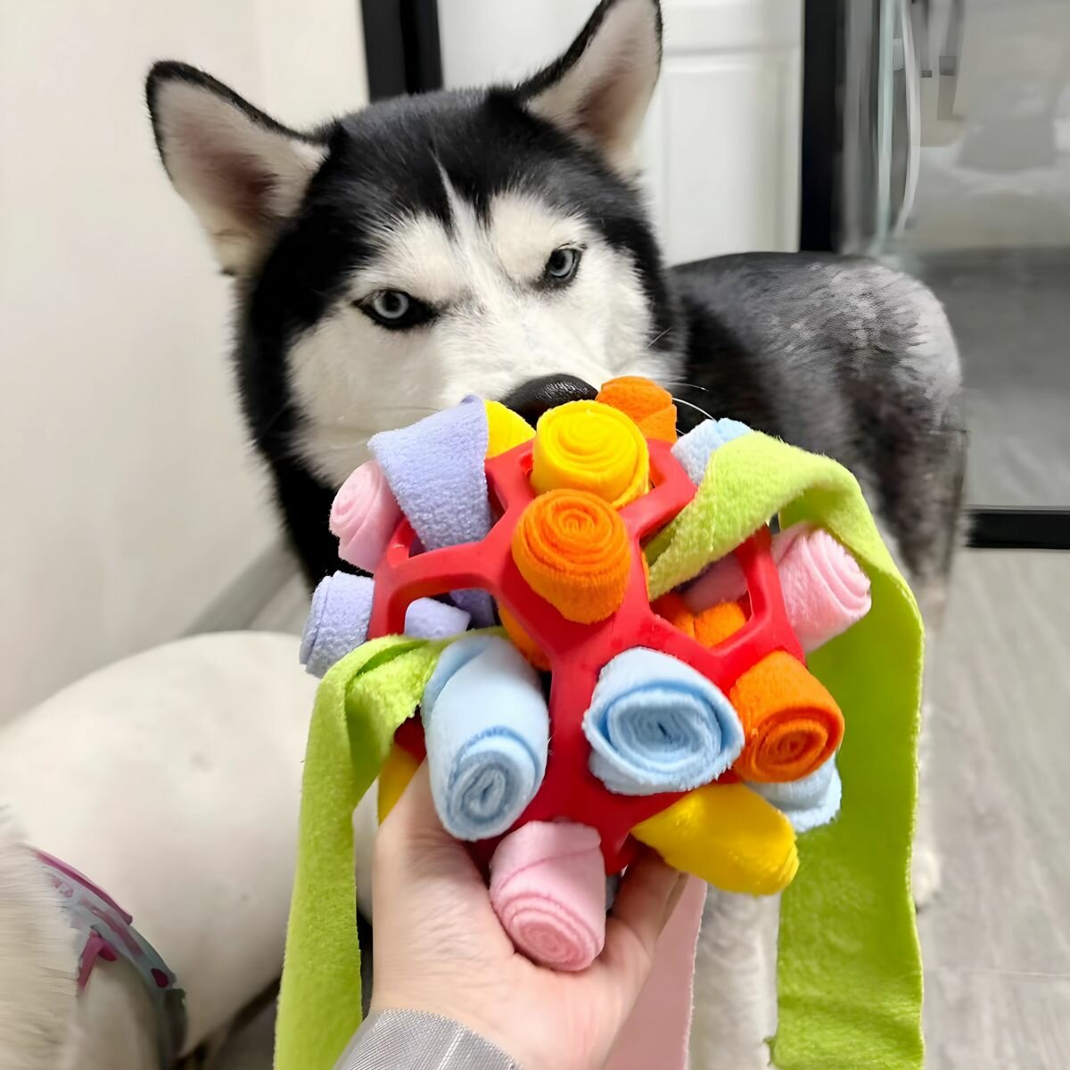 Игрушка для животных — фото 1